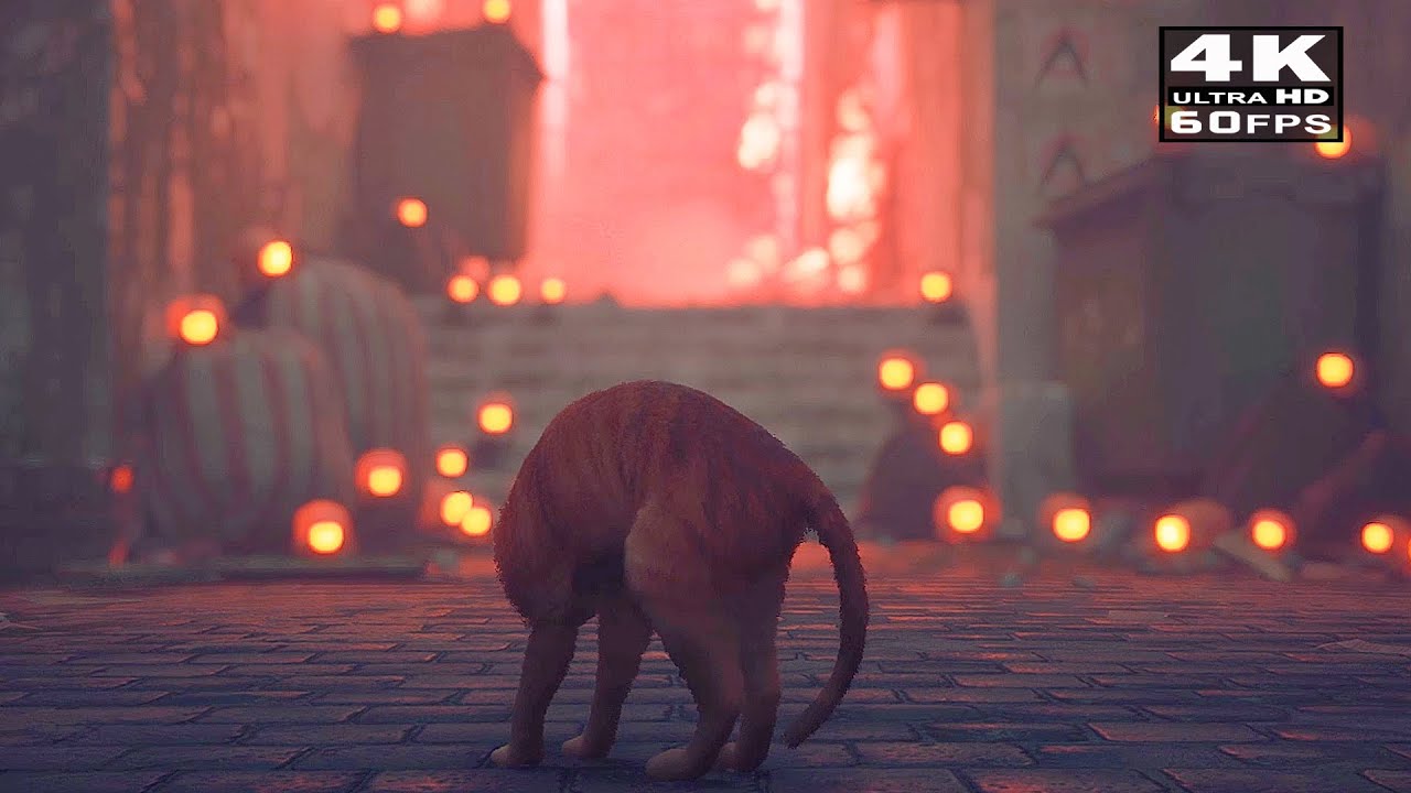 Stray First Chase Scene - Game clips in 4K HDR 60fps - YouTube