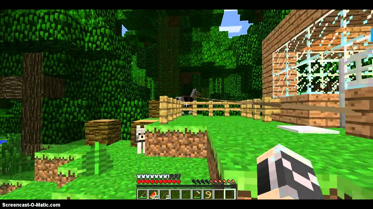 Minecraft cu caini ep5 - YouTube