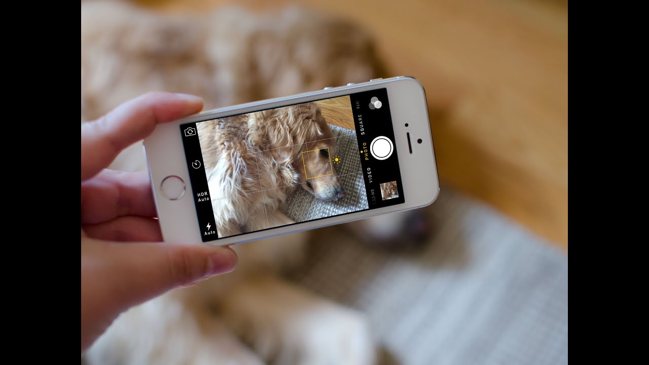How to adjust live exposure settings in the iOS 8 Camera app - YouTube