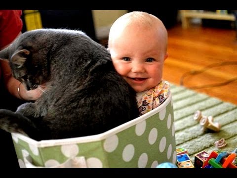 A Little Help Over Here Please - YouTube