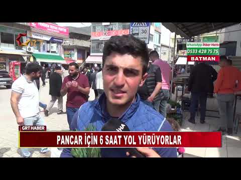 DAĞLARDA YETİŞEN PANCAR KÖYLÜLERİN GEÇİM KAYNAĞI