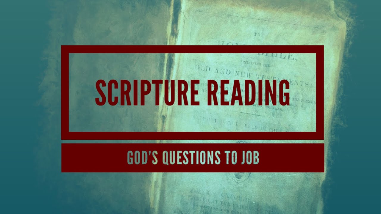 Scripture Reading: God’s Questions for Job - YouTube