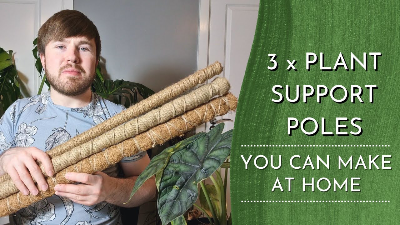 How to Make a Plant Support Pole ('Moss Pole') - Three Easy Methods ...