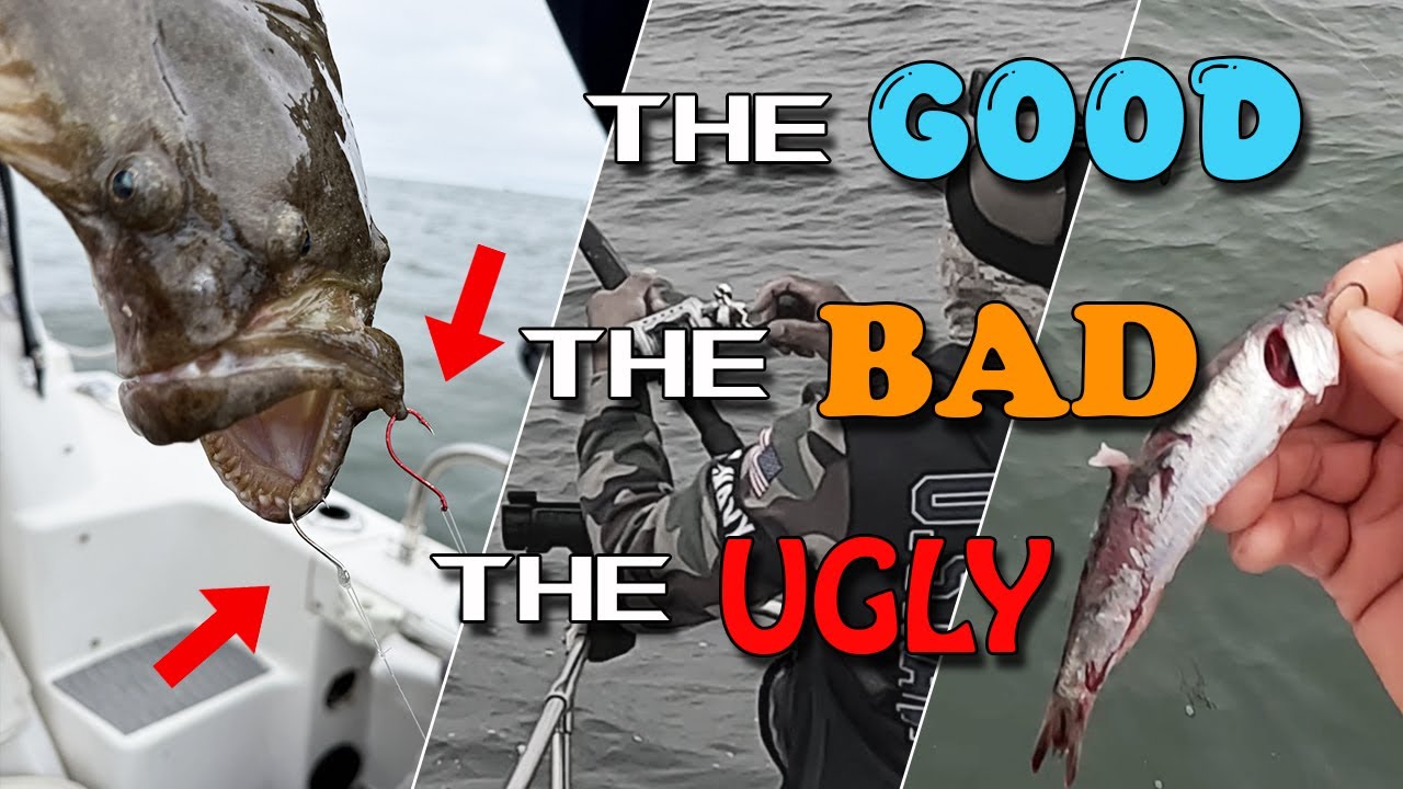 Halibut Fishing Outside the Gate - The good, the bad, and the ugly ...