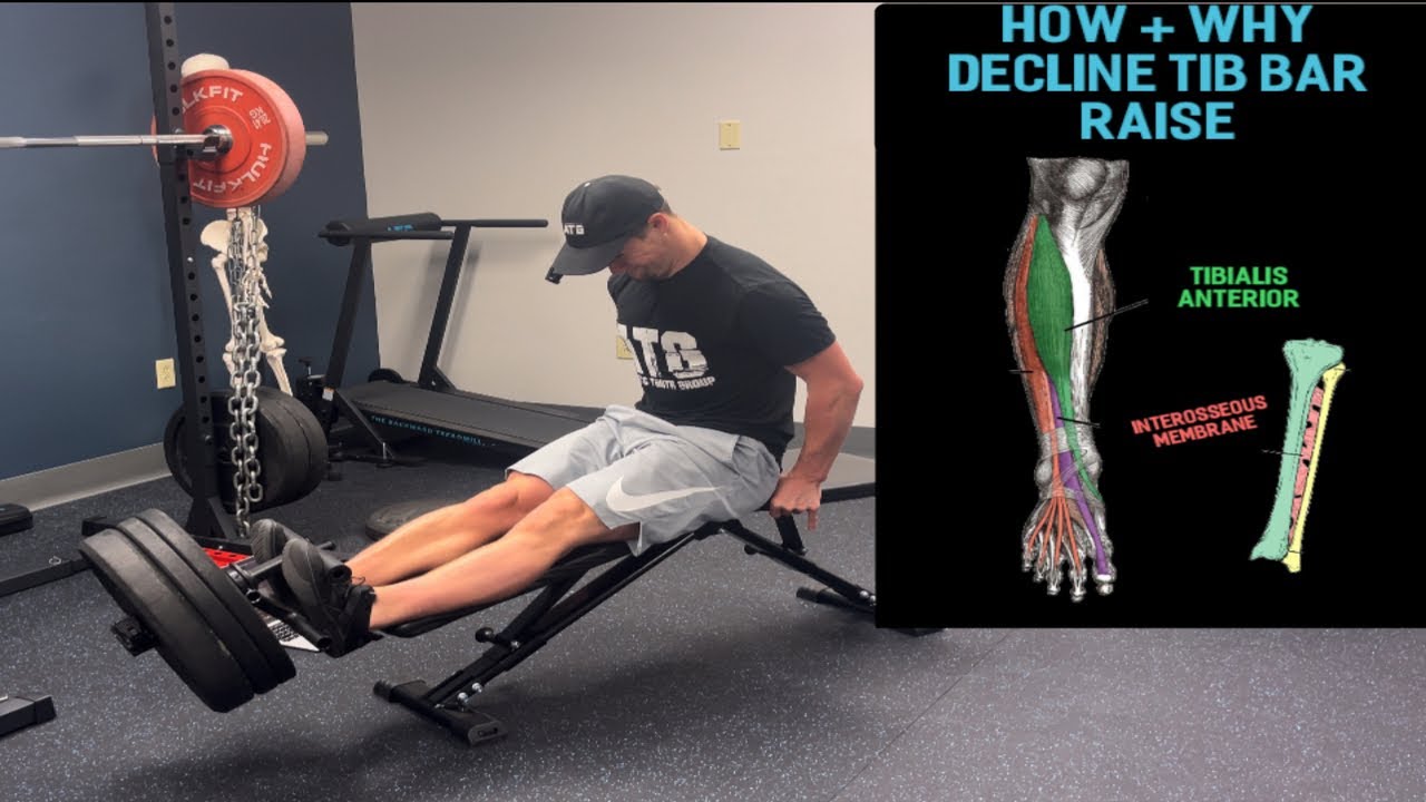 Decline Tib Bar Raise Form Video — ATG Science Blueprint - YouTube