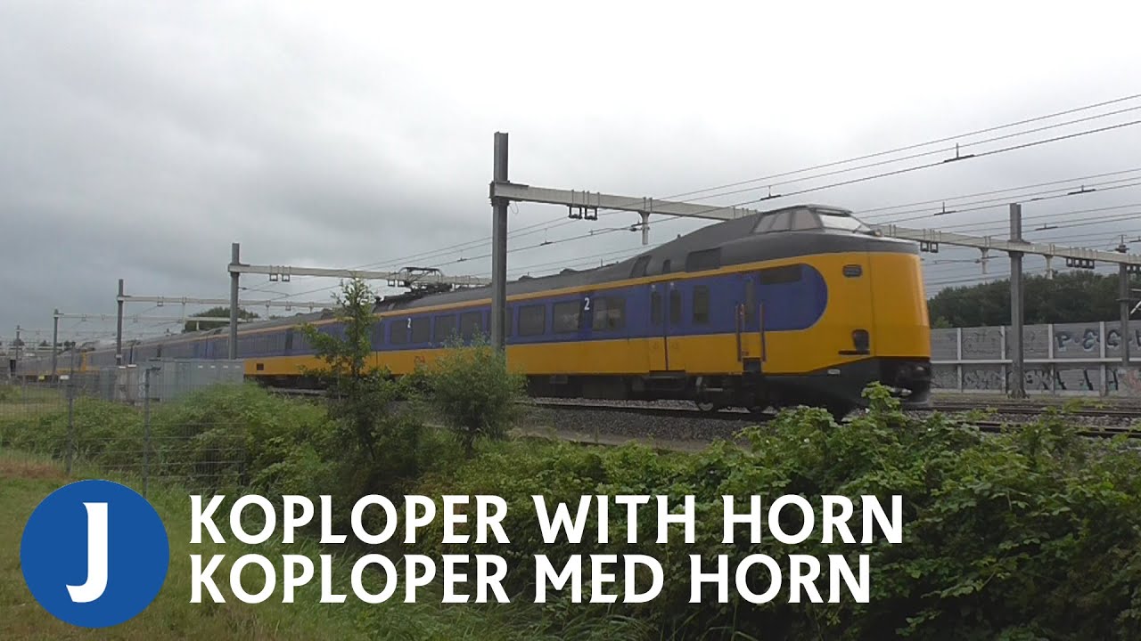 Koploper with horn [Koploper med horn] - YouTube