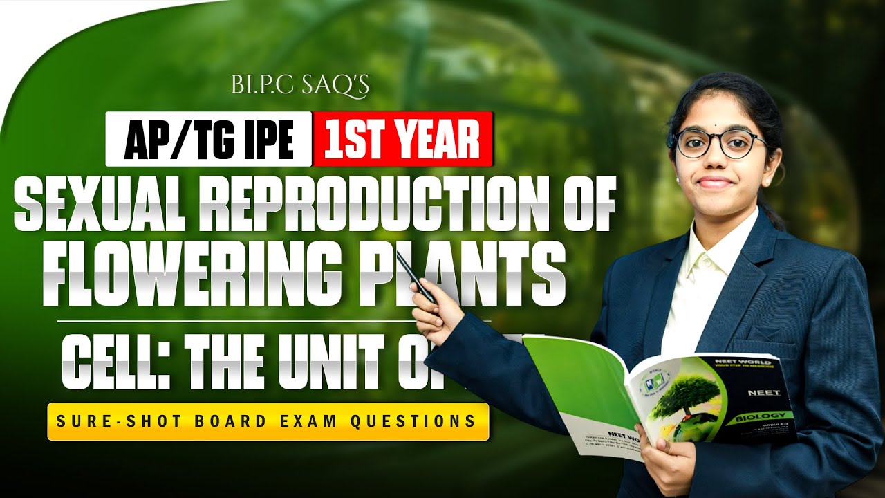 AP/TG IPE 1st Year Biology | Sexual Reproduction in Flowering Plants ...