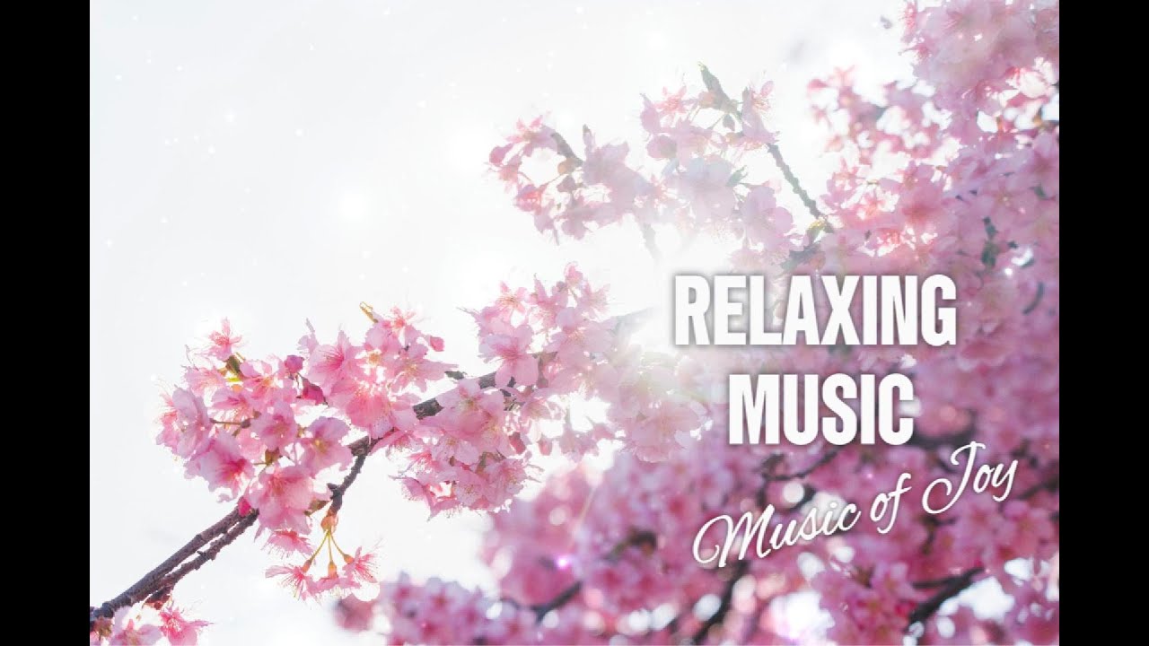 Relaxing Music | Meditation Music | Zen | Spring Season | Sunshine ...