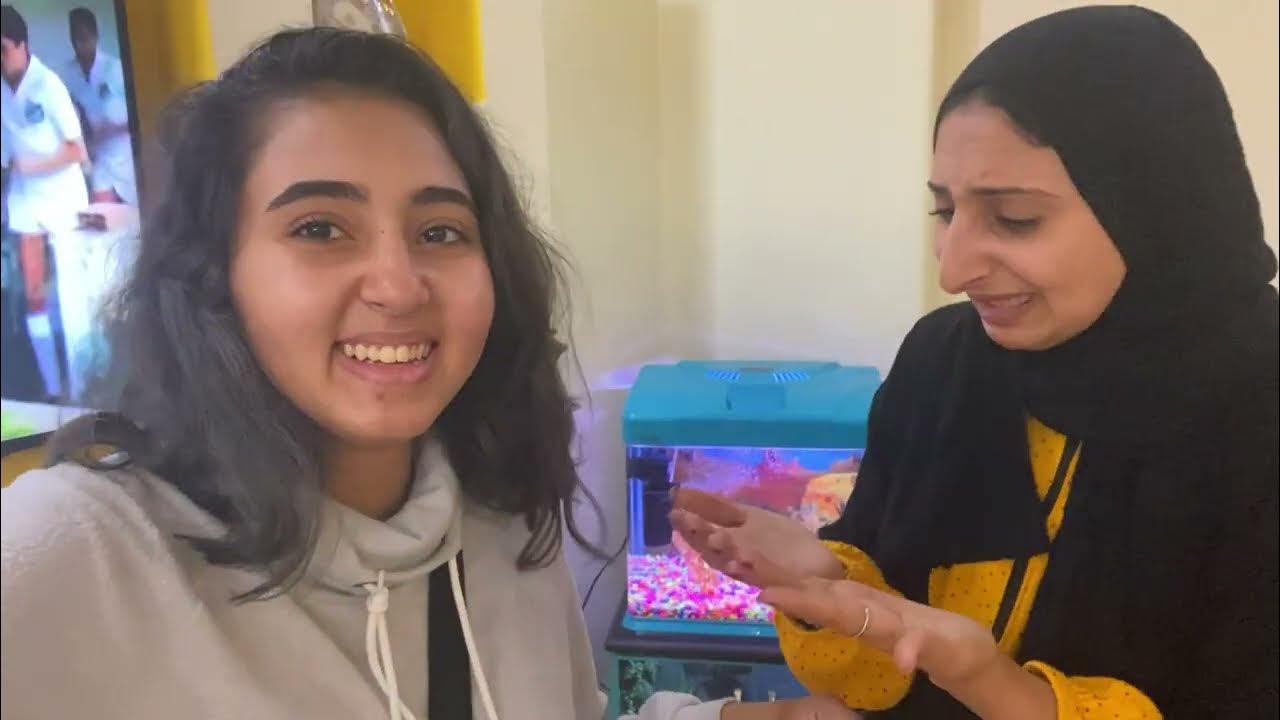 صبغت شعري بدون علم اهلي Youtube