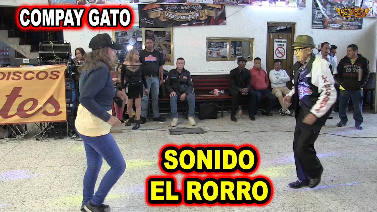 COMPAY GATO, SONIDO EL RORRO *** - YouTube