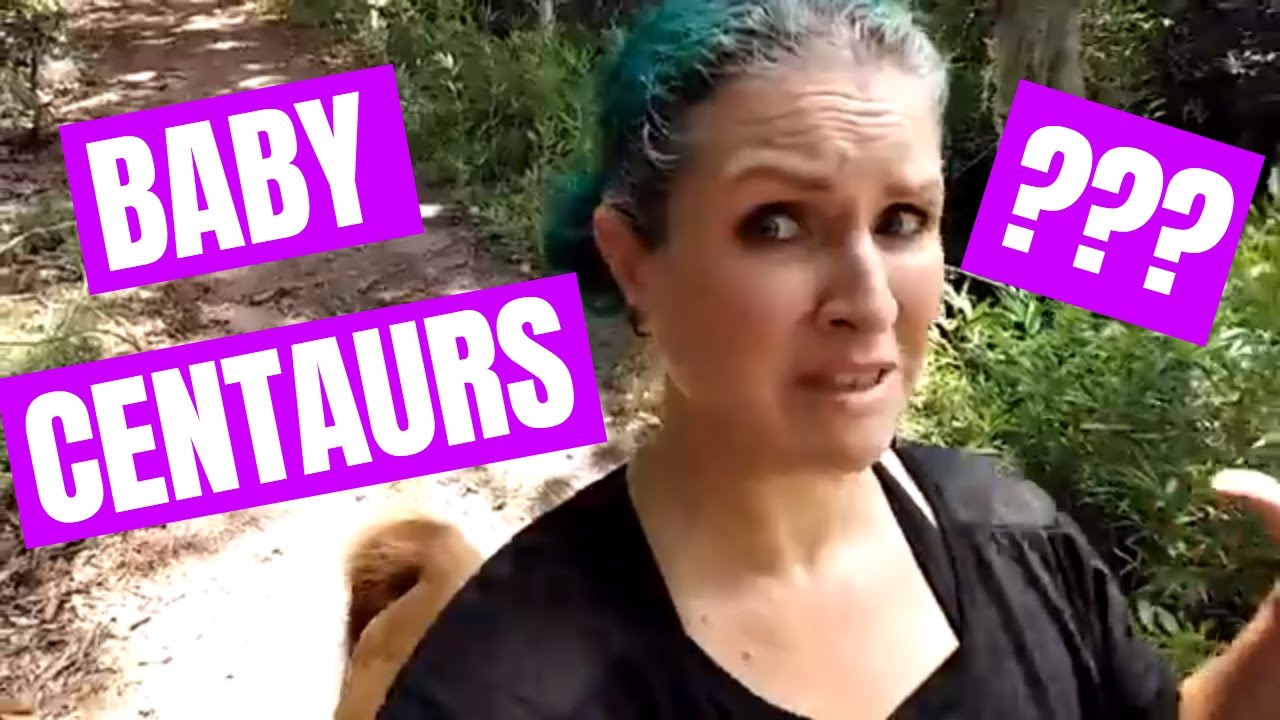 What's the Deal with Centaur Babies? - YouTube