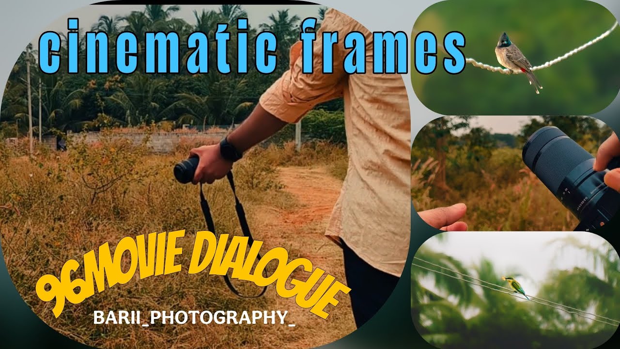 The art of framing and capture 📸 | #photography #sony #nature #96movie ...