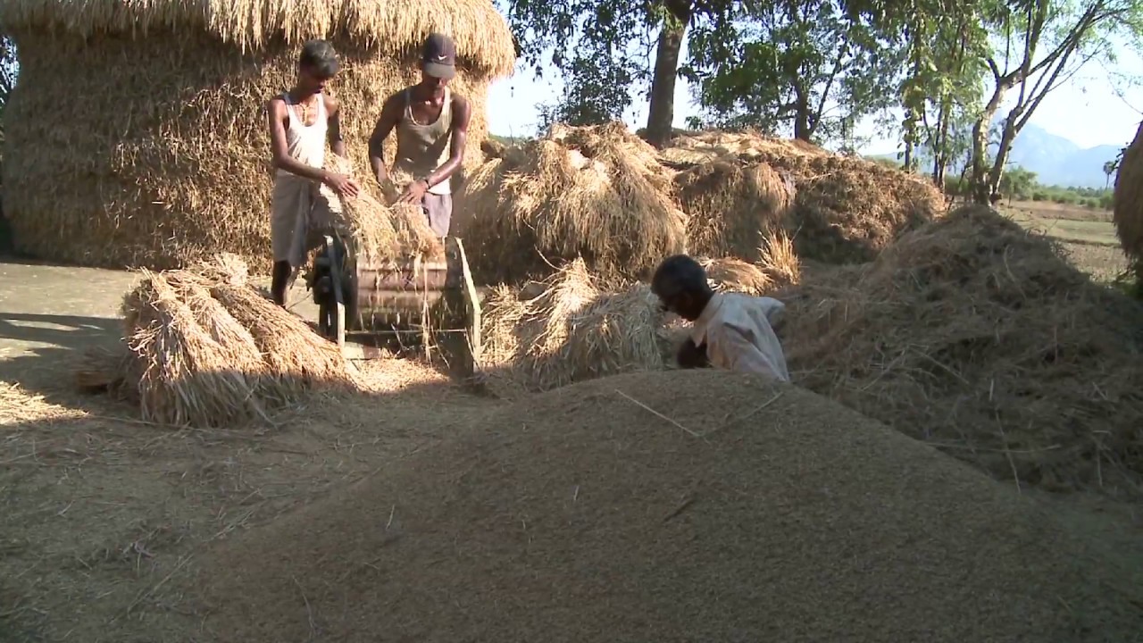 World Farmers' Organisation General Assembly 2017 Official Video - YouTube