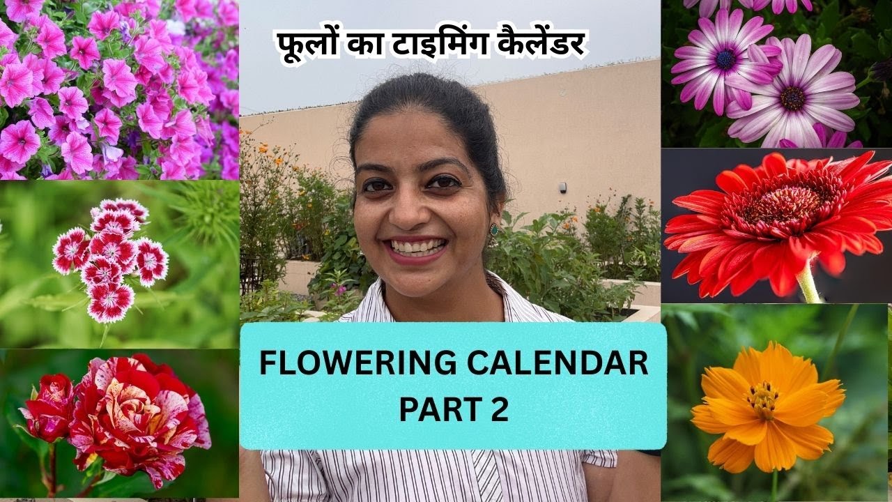 FLOWERING CALENDAR PART -2 | MONTHLY LIST FOR ALL FLOWERS TO GROW IN ...