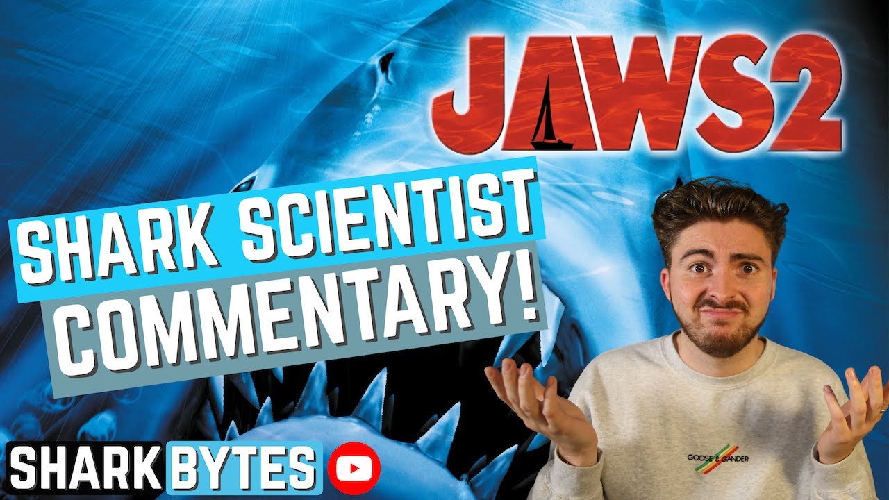 Watch 'JAWS 2' with a Shark Scientist! (Movie Commentary & Reaction ...