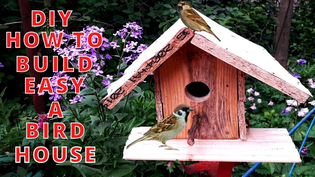 DIY | HOW TO MAKE EASY A BIRD HOUSE | WOODWORKING EASY CREATIVE IDEAS ...