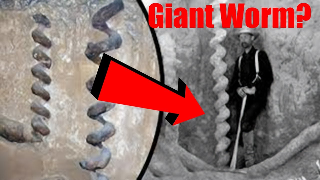 The Augerino - YouTube