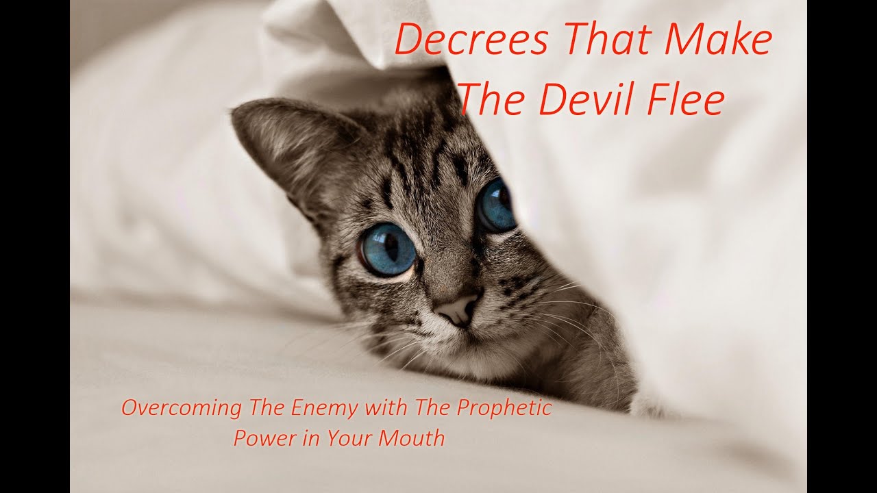 Decrees That Make The Devil Flee Decrees That Assault The Enemy - YouTube