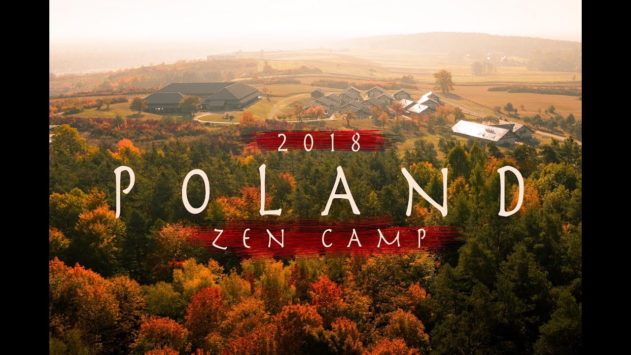 BJJ Globetrotters Zen Camp 2018 - YouTube