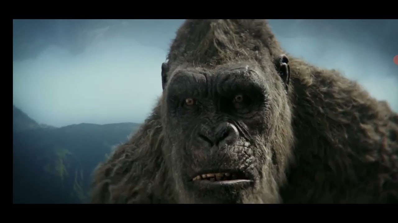 Movies - YouTube
