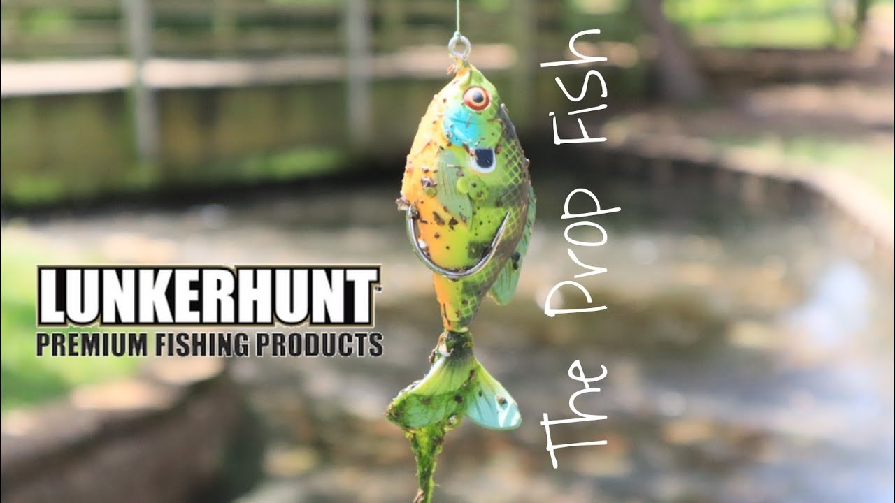 Lunkerhunt Prop Fish: Test and Review. Is It Any Good? - YouTube