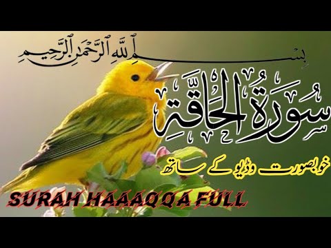 Sarah Haaqqa|| by Amir Rasheed ||quran is clams ||سورۃ الحاقہ - YouTube
