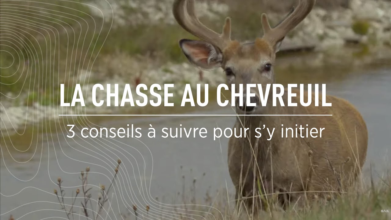 La chasse au chevreuil | Trois conseils pour s'y initier - YouTube