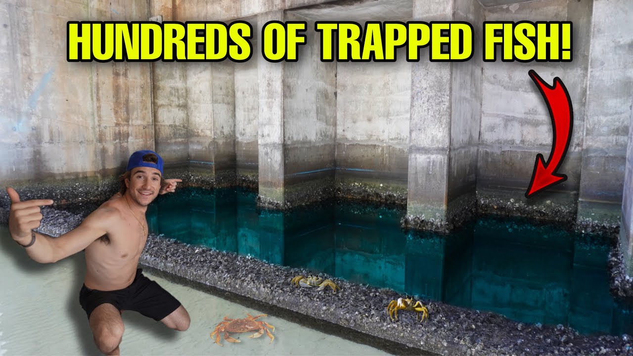 Finding FISH Trapped In TIDE POOL!! *what's inside?* - YouTube