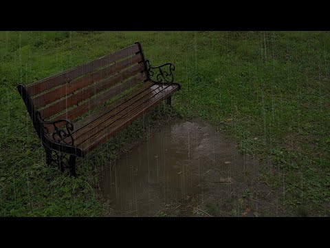 Deep sleep instantly with 30 minutes of gentle rain sounds
