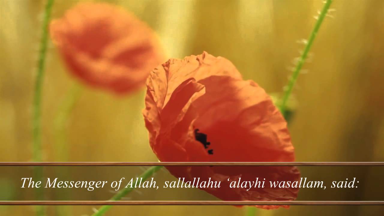 The value of human life┇Hadith Nawawi┇ 14/40 - YouTube