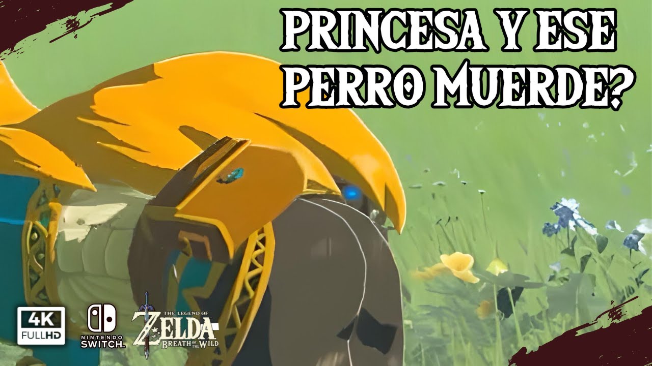 LINK mirando el PERRO de ZELDA ! The Legend of Zelda Previas al Tears ...