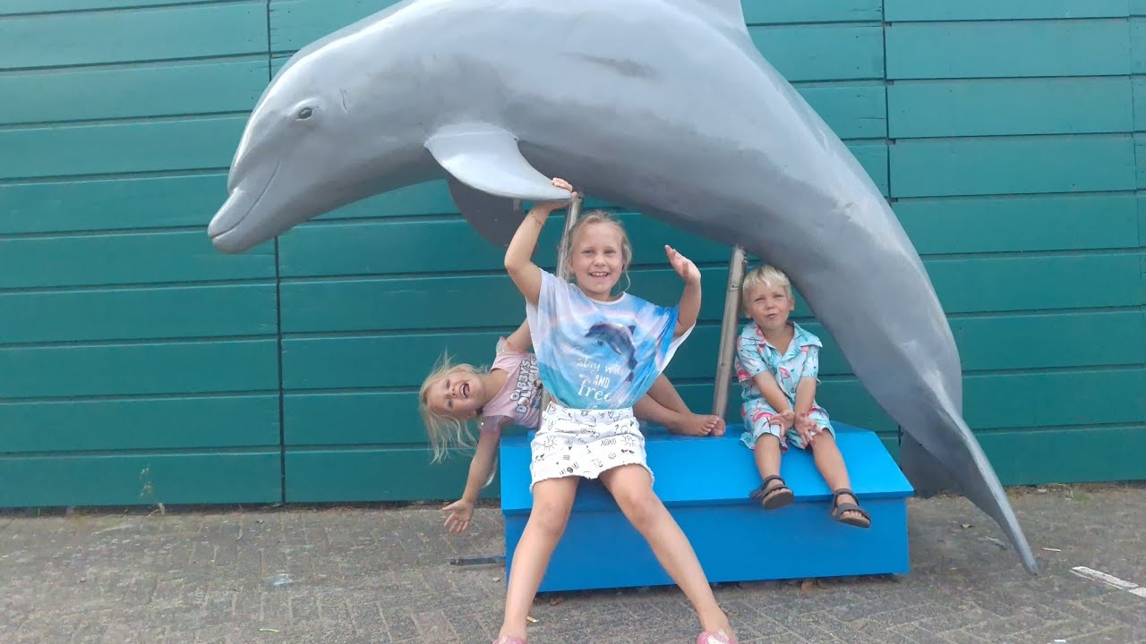 Dolfinarium show oceanica dolfijn - YouTube