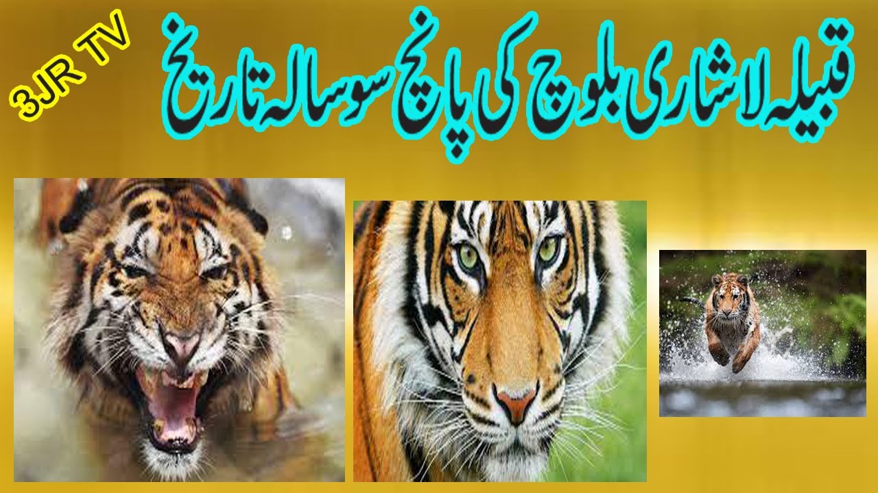 History of lashari baloch - YouTube