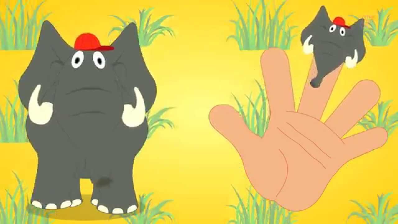 Finger Family Elephant - YouTube