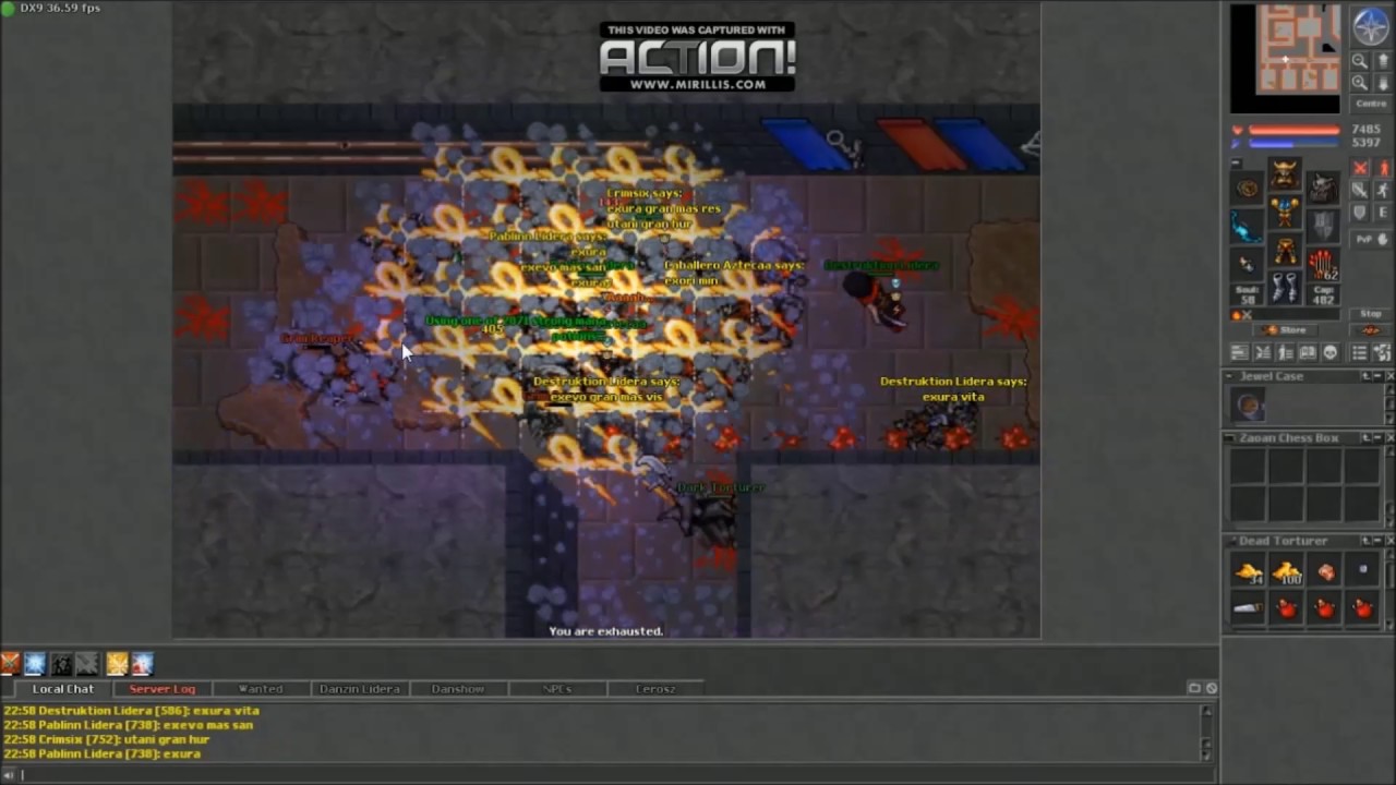 TIBIA GUILD WANTED CALMERA - YouTube