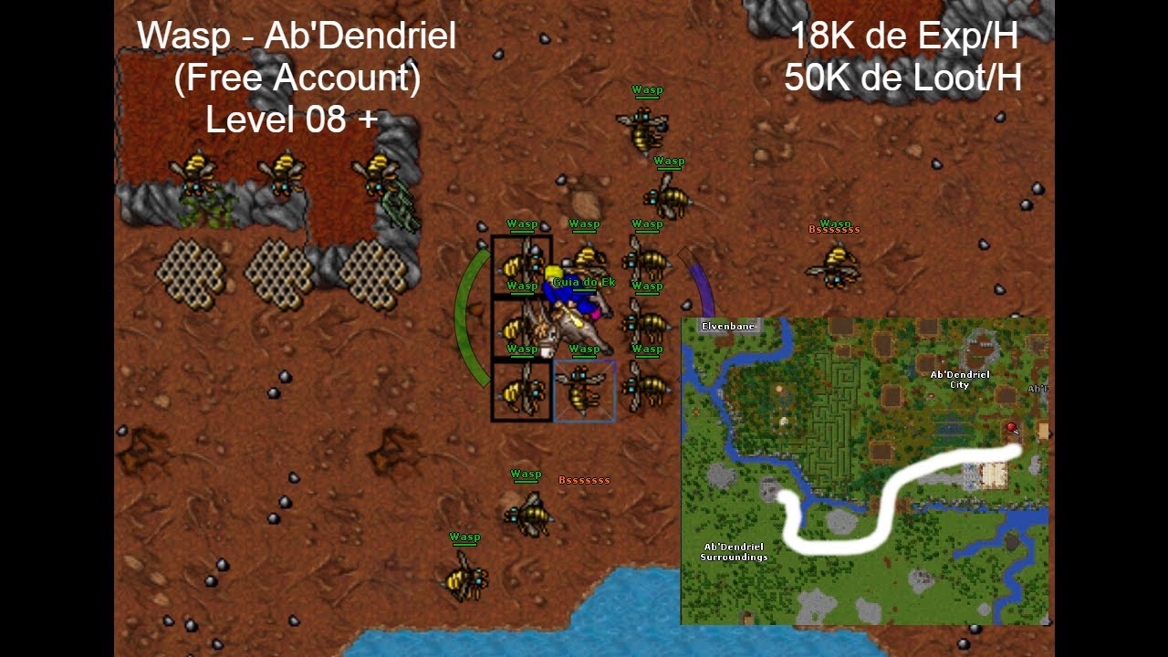 Tibia Guide 2025 (EK) - Hunt Wasp - Ab'dendriel ‐ Free Account - YouTube