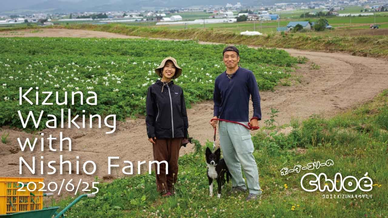 ボーダーコリーのChloeとヒロシが行く！〜上富良野町Nishio Farm編〜 - YouTube