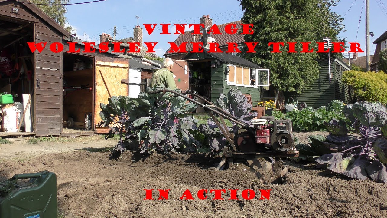Vintage Wolesley Merry Tiller (In Action) - YouTube