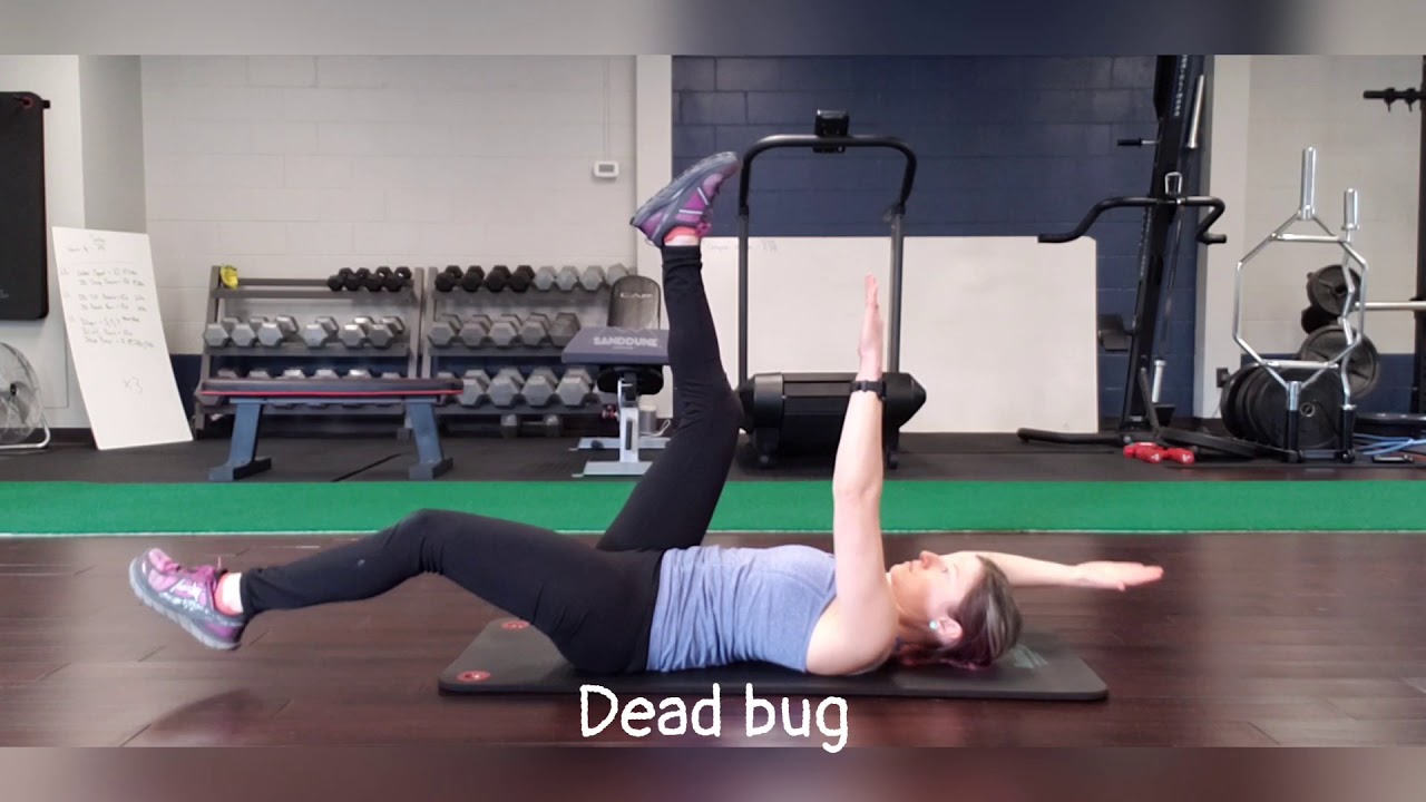 Dead bug - YouTube