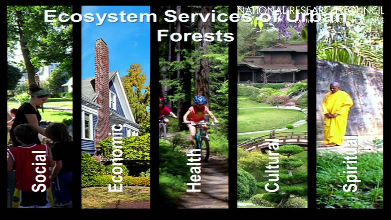 Urban Forestry 3: Urban Forestry within the Greater Urban Ecosystem ...