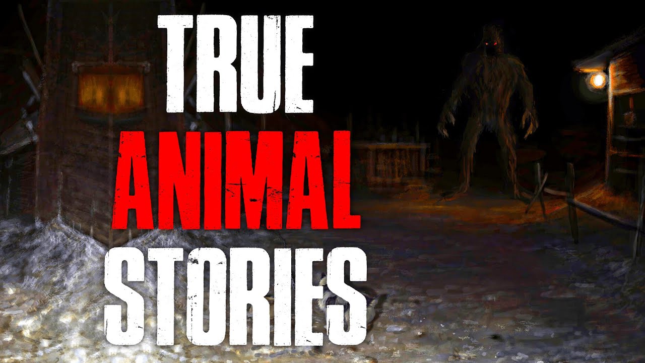3 True Scary Animal Horror Stories - YouTube