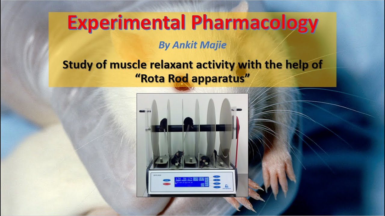 Study of muscle relaxant activity with the help of "Rota Rod apparatus ...