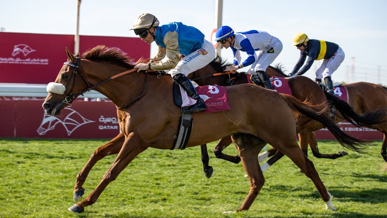 RM 39 Al Rayyan Race 7 - Msheireb Cup - YouTube