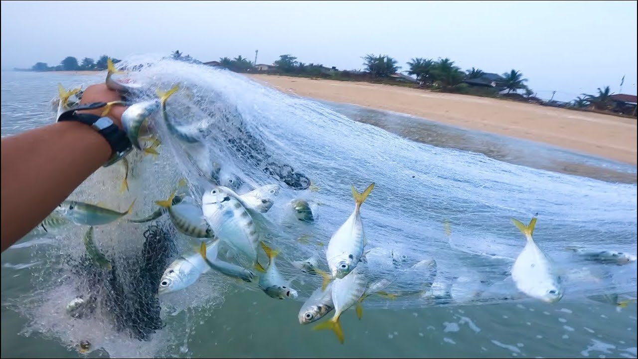 🇲🇾Rezeki 25 Ramadhan Menjala Ikan Pelata Di Pantai Ru Renggeh Marang ...