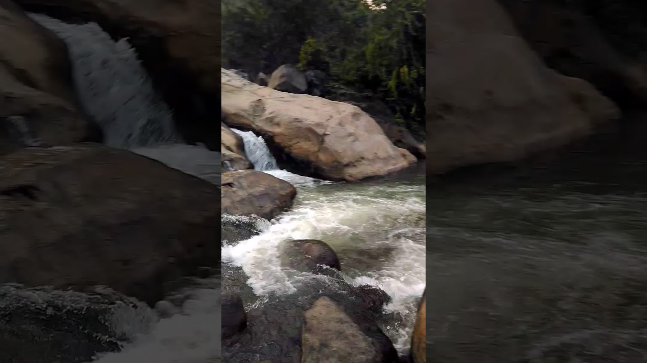 Hohua Picnic Spot Assam - YouTube