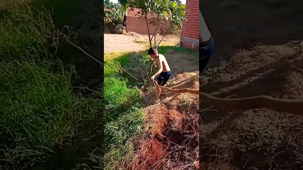 só os cria - YouTube