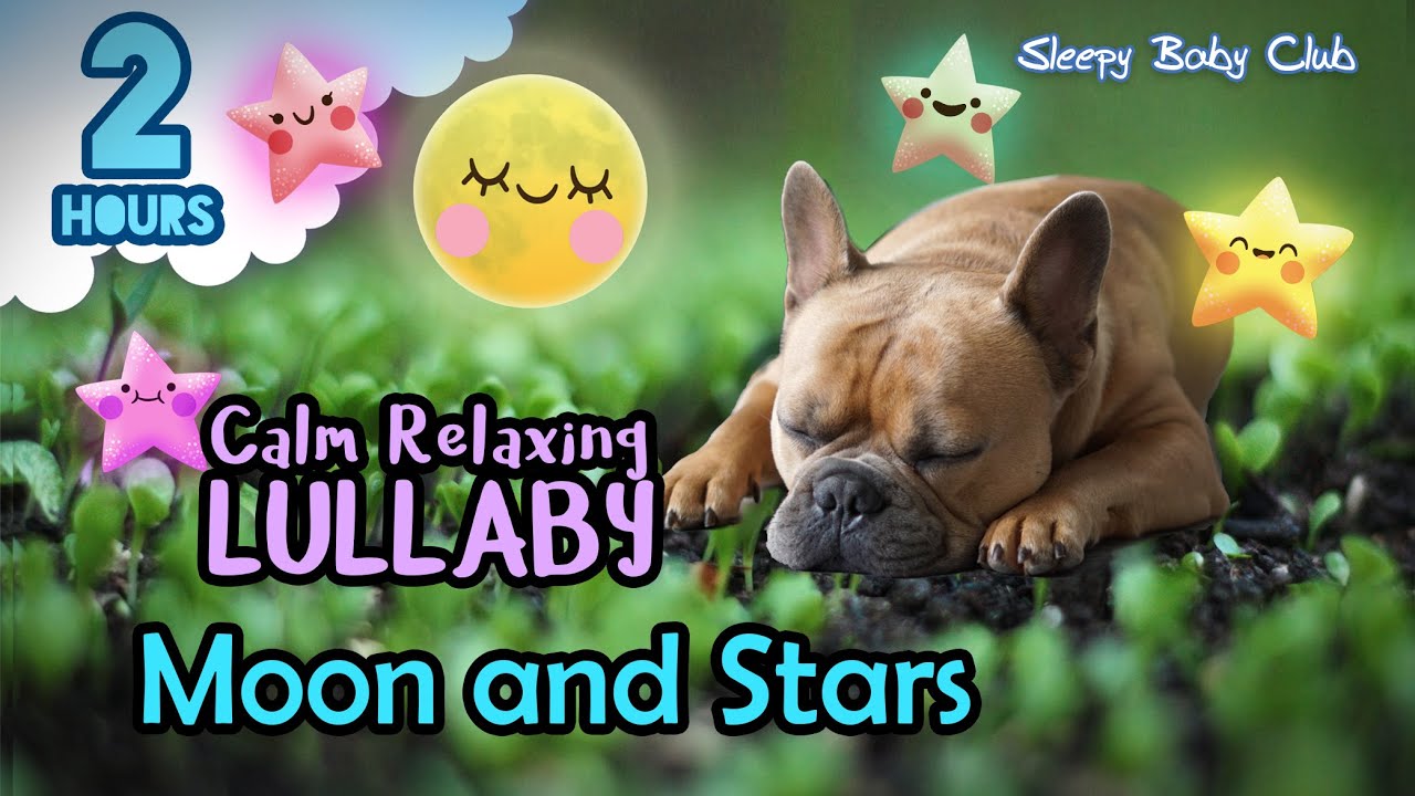 🟢 Grace’s Lullaby ♫ Moon and Stars ★ Soft Sleep Music for Babies - YouTube