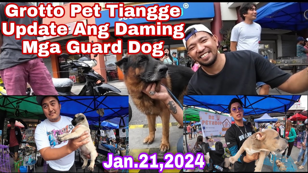 Latest Update Sa Grotto Pet Tiangge Ang Daming Guard Dog. Jan.21,2024 ...