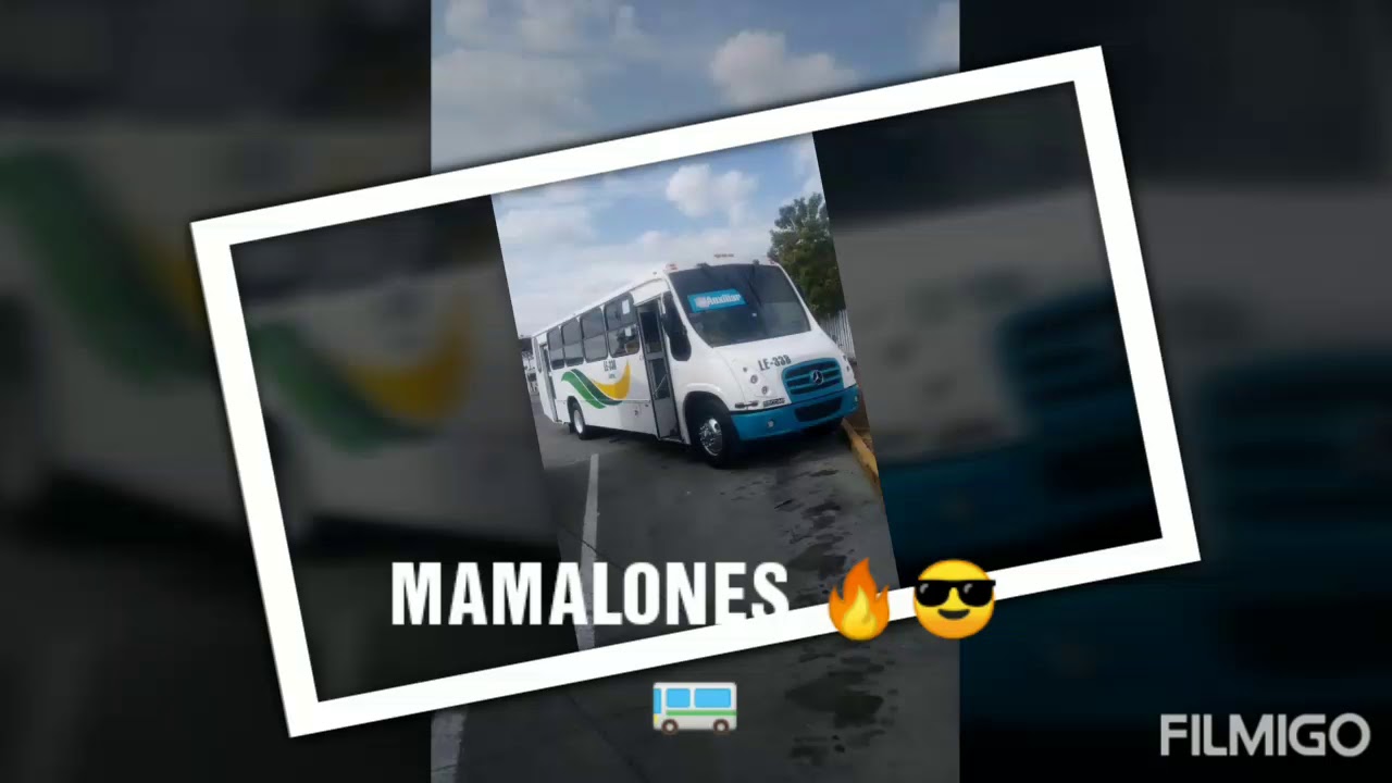 Mamalones de los mejores - YouTube