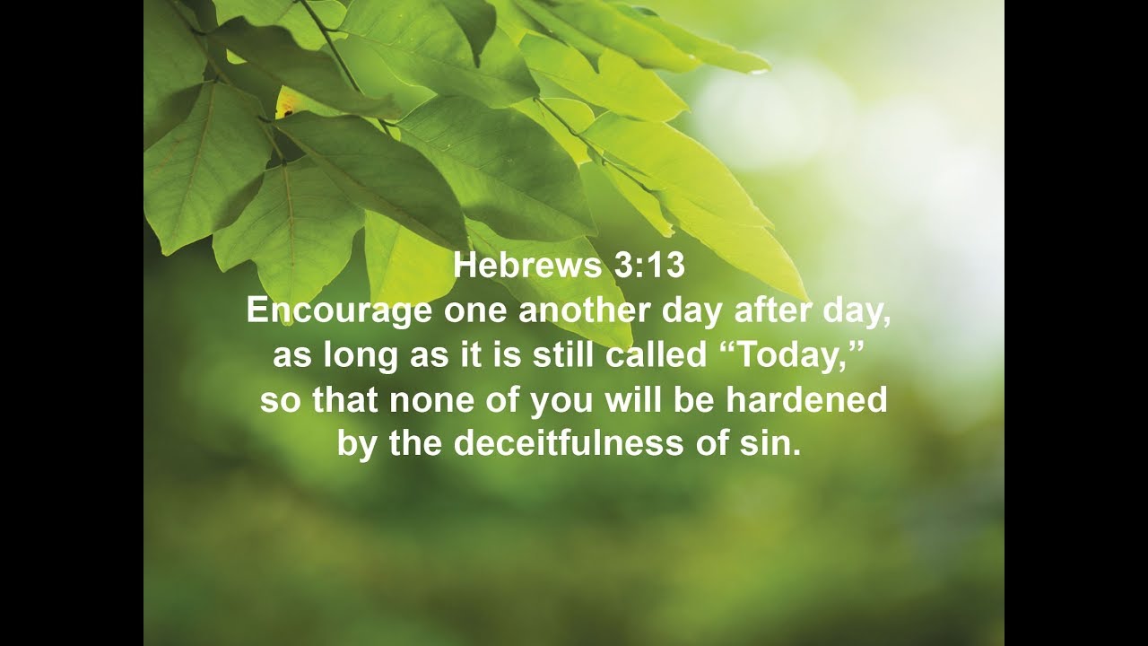 Hebrews 3:13 (Command) - YouTube